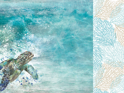 Beach – Oscar & Pixie